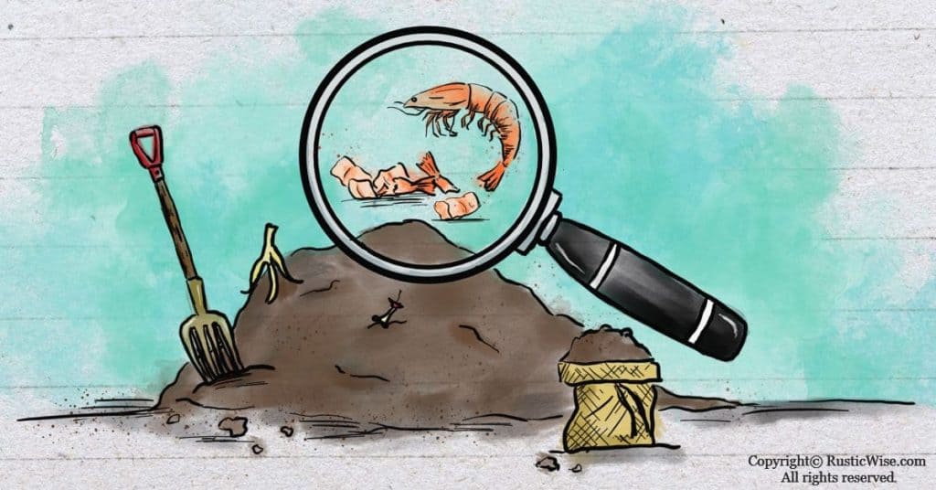 Can You Compost Shrimp Shells? How Shrimp Shells Help Your Garden ...