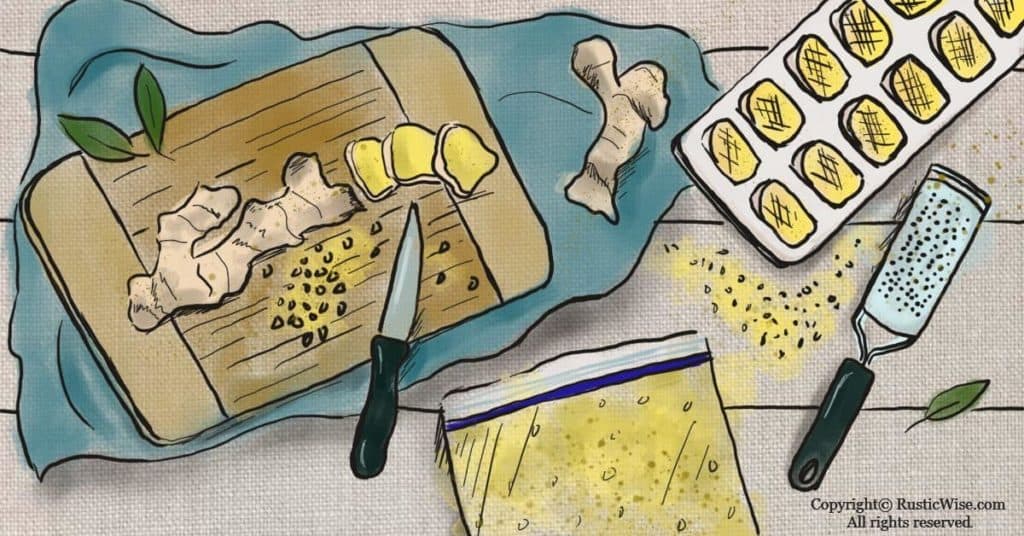 How to Freeze Fresh Ginger Root 5 Ways – RusticWise